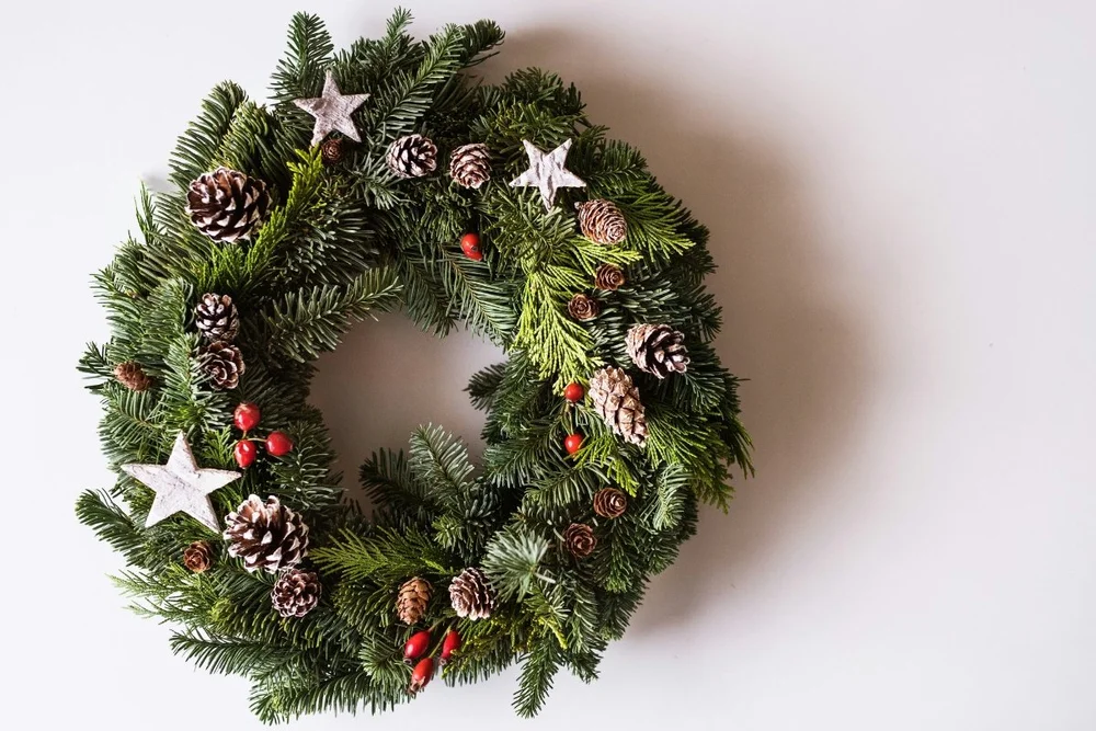 Winter Tree Traditions: Exploring the History of Festive Evergreens — W ...