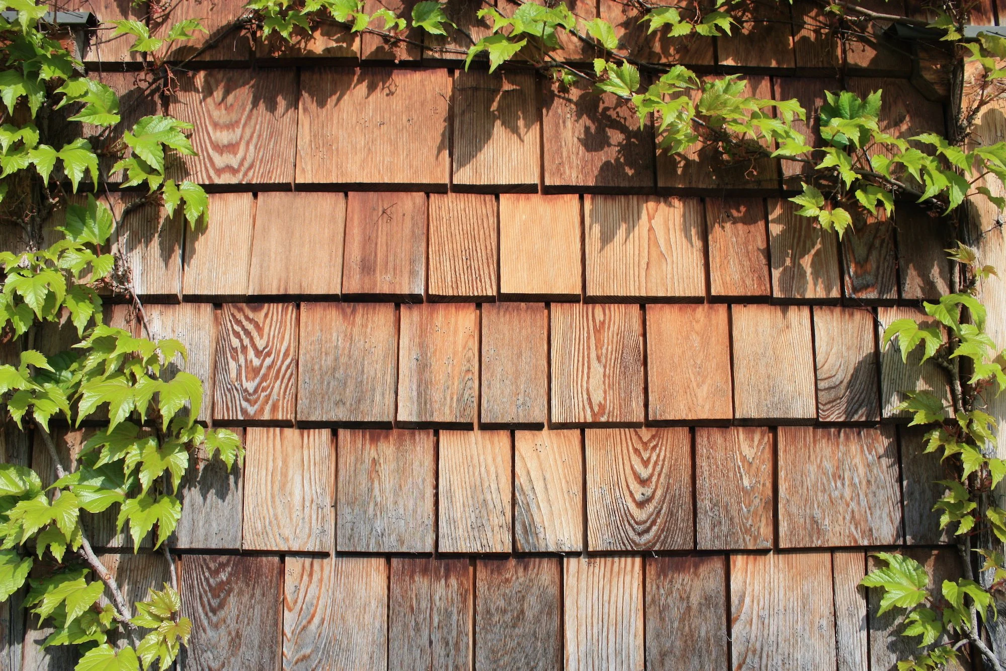 Timber Shingles — W.L West & Sons