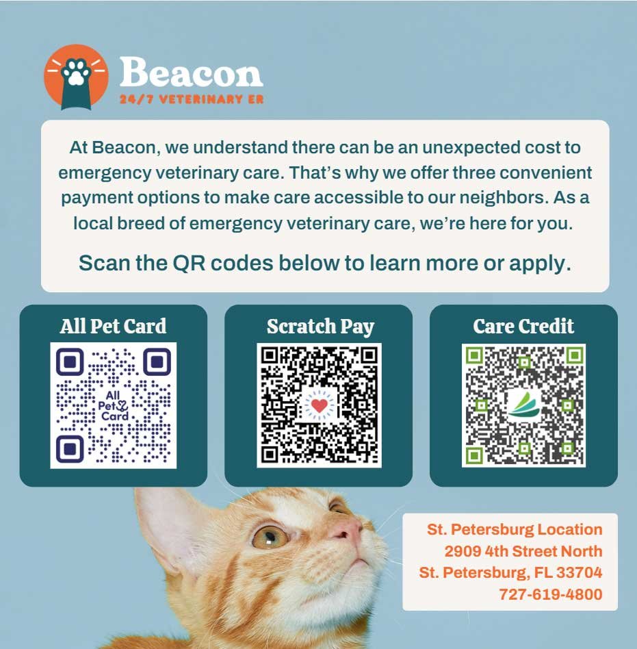 Beacon Emergency Veterinary Hospital | 24/7 Local ER Care