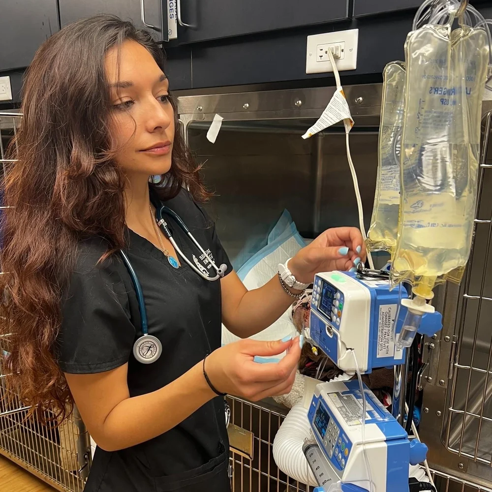 Riverview Emergency Veterinarian | Animal Hospital & Vet ER