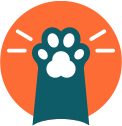 Beacon Emergency Veterinary Hospital | 24/7 Local ER Care
