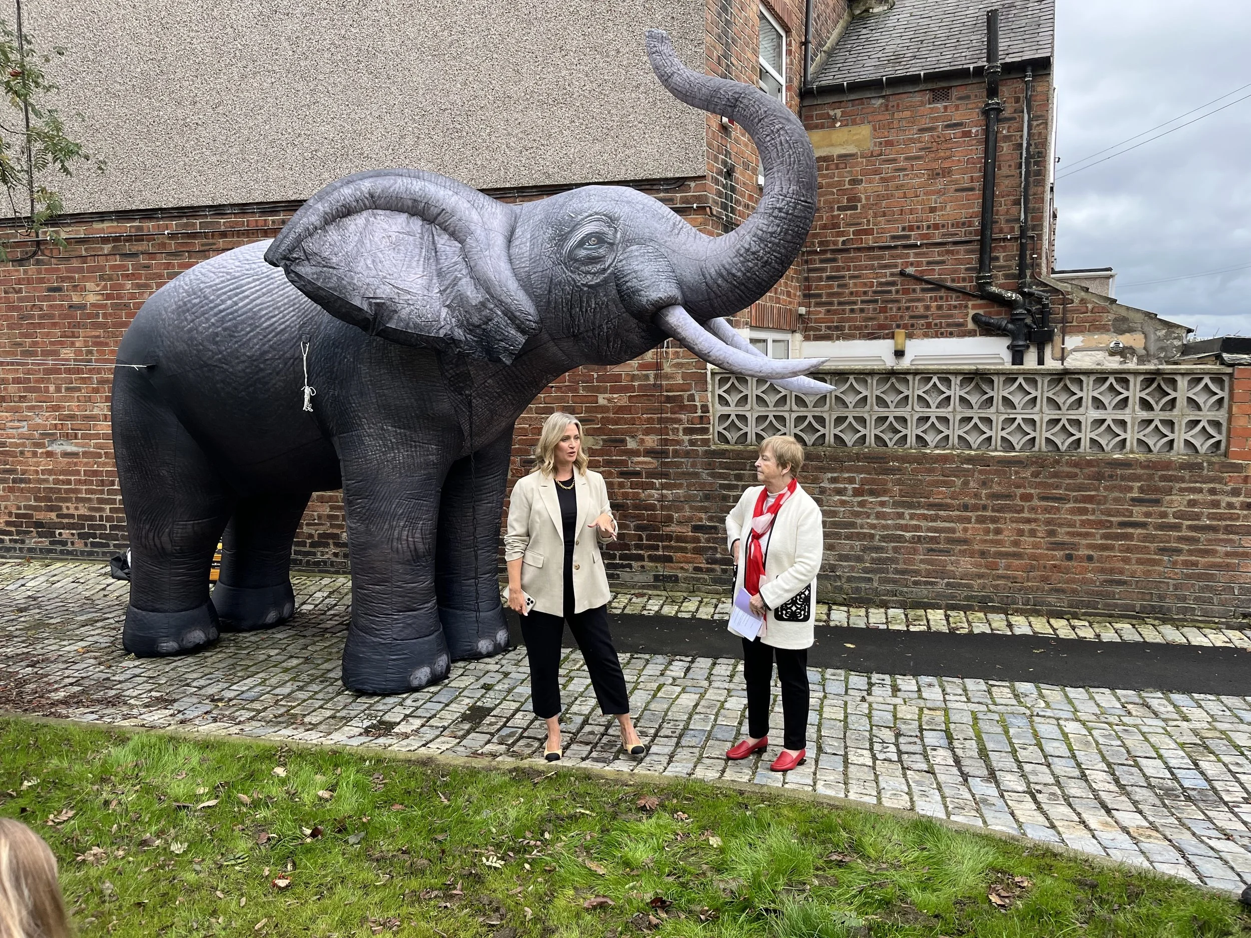 Realistic Giant Inflatable Animals — Nova Inflatables