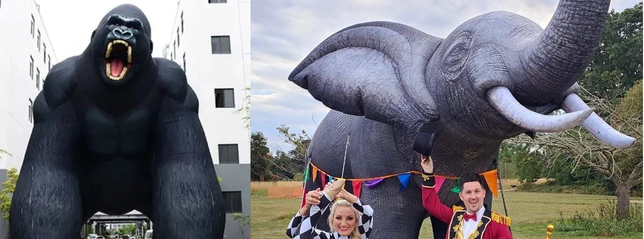 Giant Inflatables — Nova Inflatables