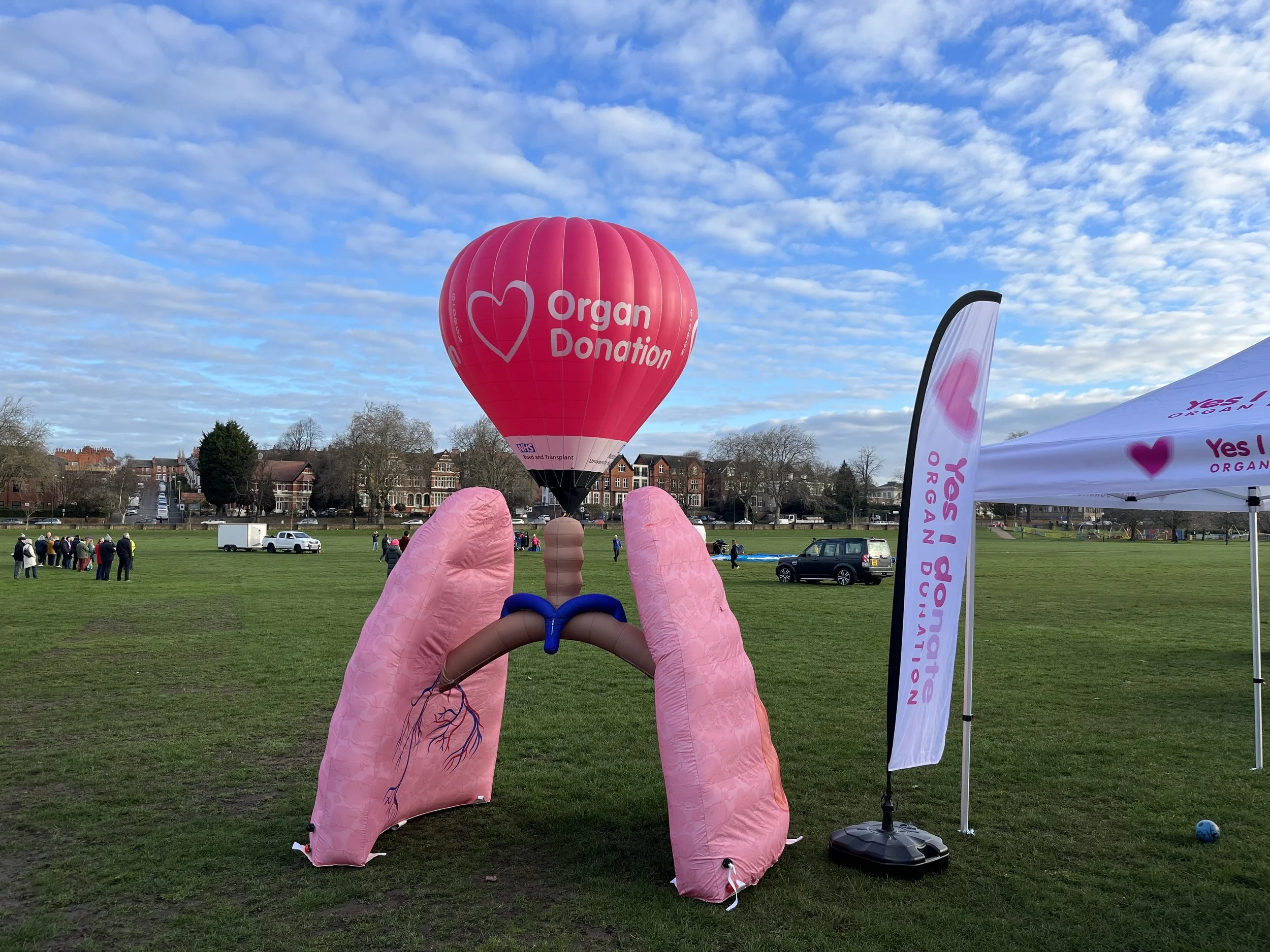 Stock Inflatables for Sale — Nova Inflatables