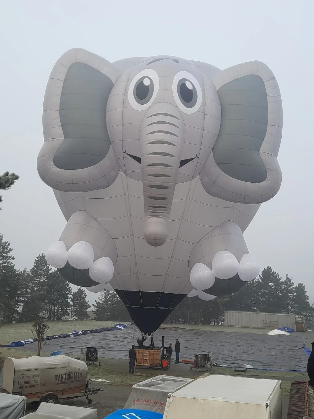 Special Shape Hot air Balloons — Nova Inflatables