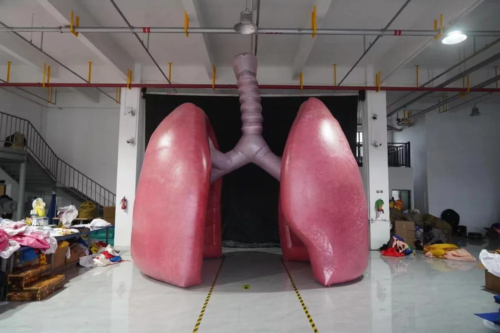 Giant Inflatables — Nova Inflatables