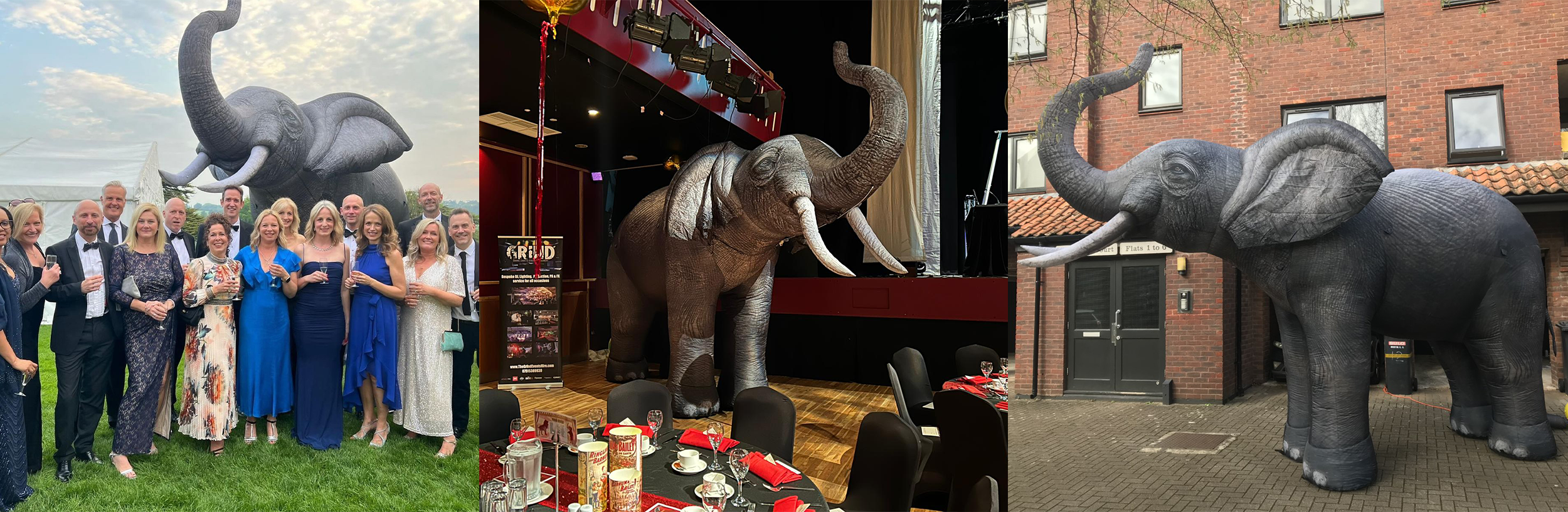 Realistic Giant Inflatable Animals — Nova Inflatable Advertising