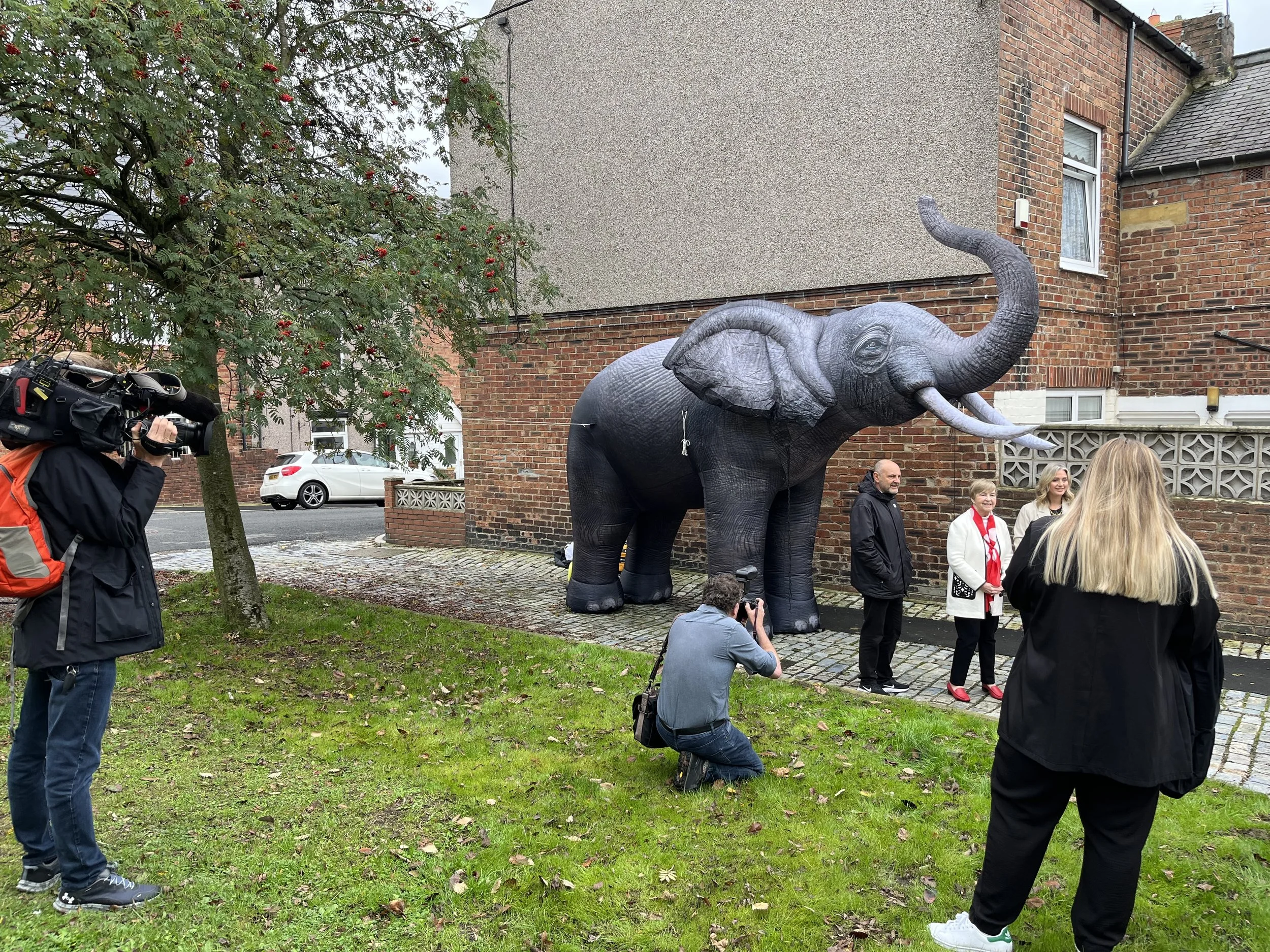 Realistic Giant Inflatable Animals — Nova Inflatables