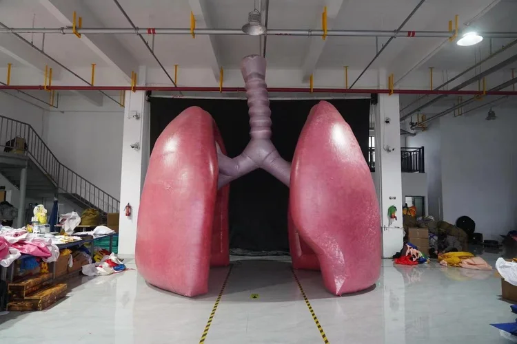 Nova Inflatables - Creative Inflatable Manufacturer and Agency