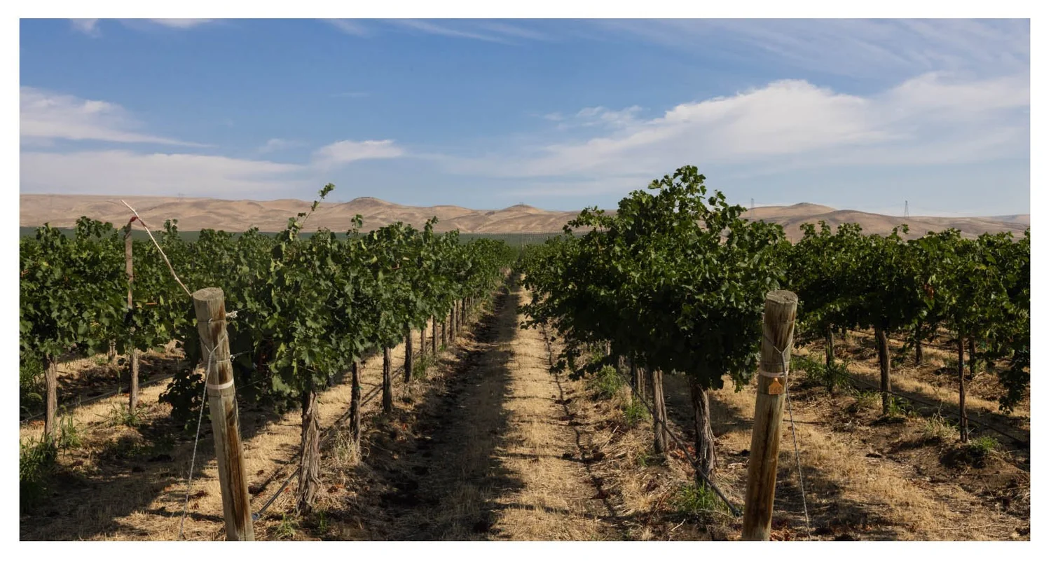 About — Two Vintners: Washington Winery | Wineries Near Seattle