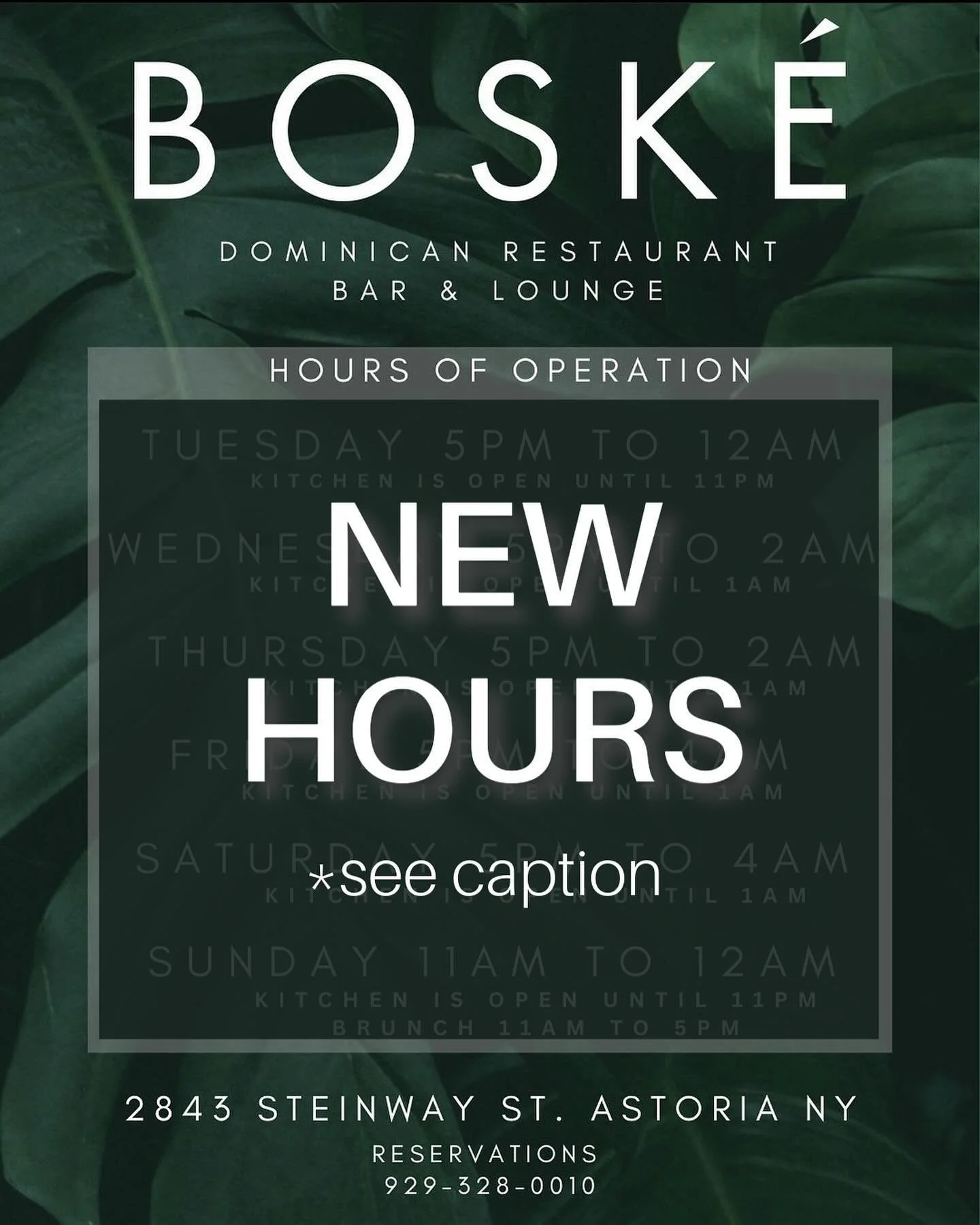 BOSKÉ - The Best Dominican Restaurant in NYC