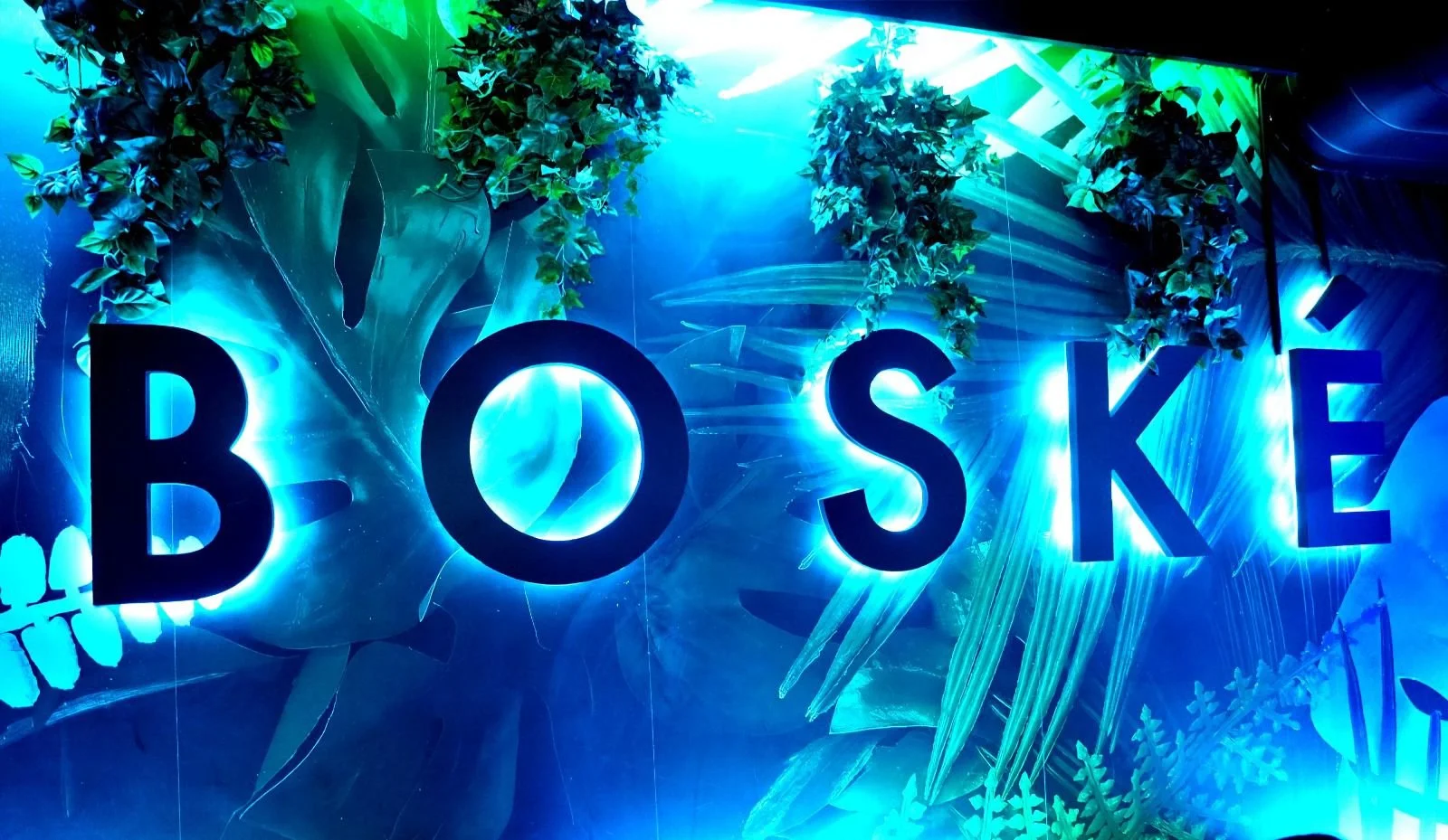Book Your Private Event With Us — BOSKÉ