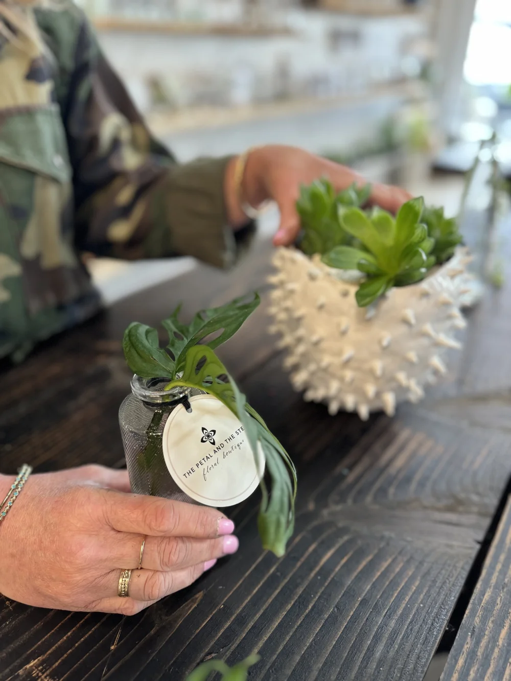 Plant Bar | Create Your Green Space Today — The Petal and The Stem