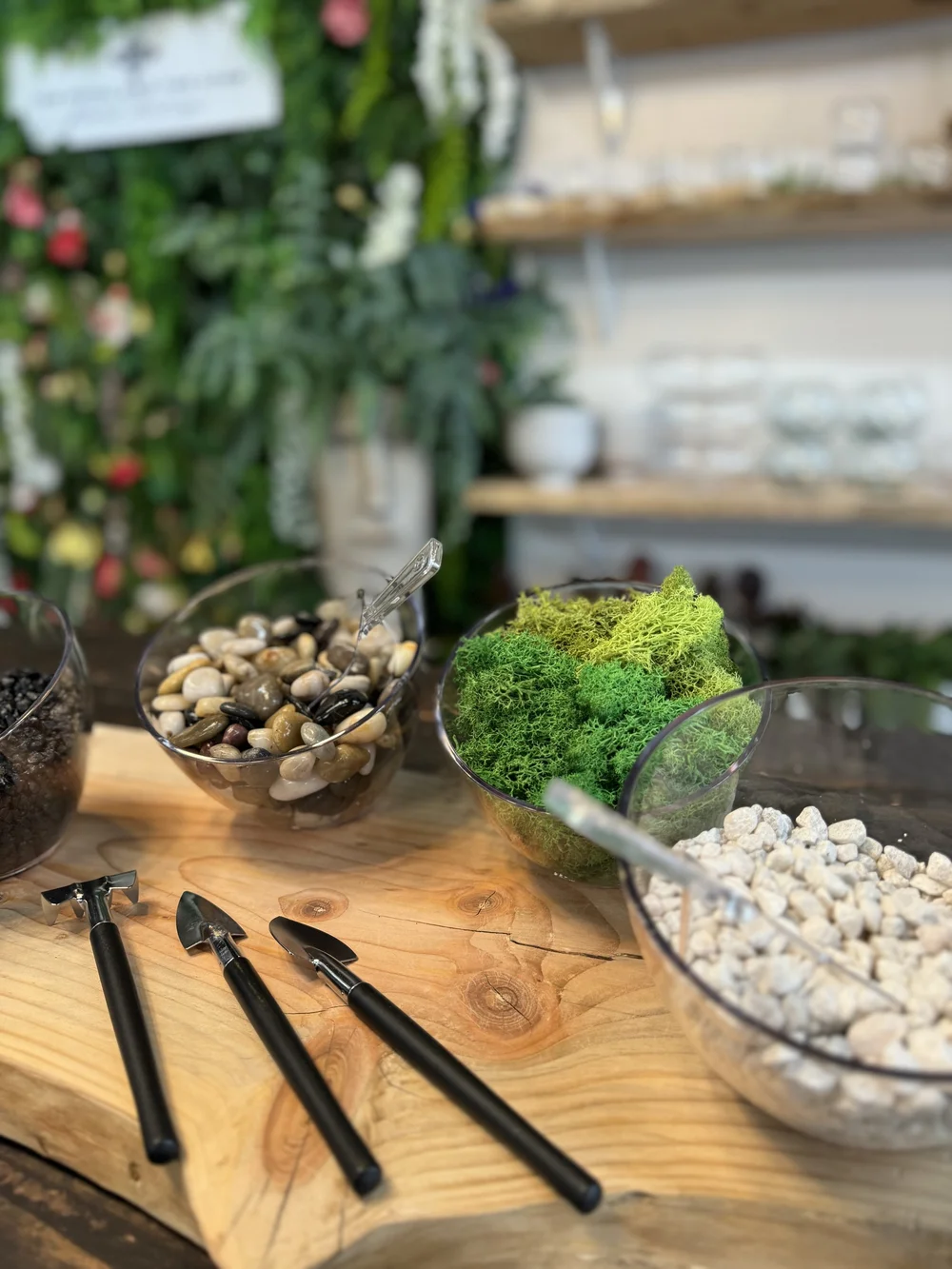 Plant Bar | Create Your Green Space Today — The Petal and The Stem