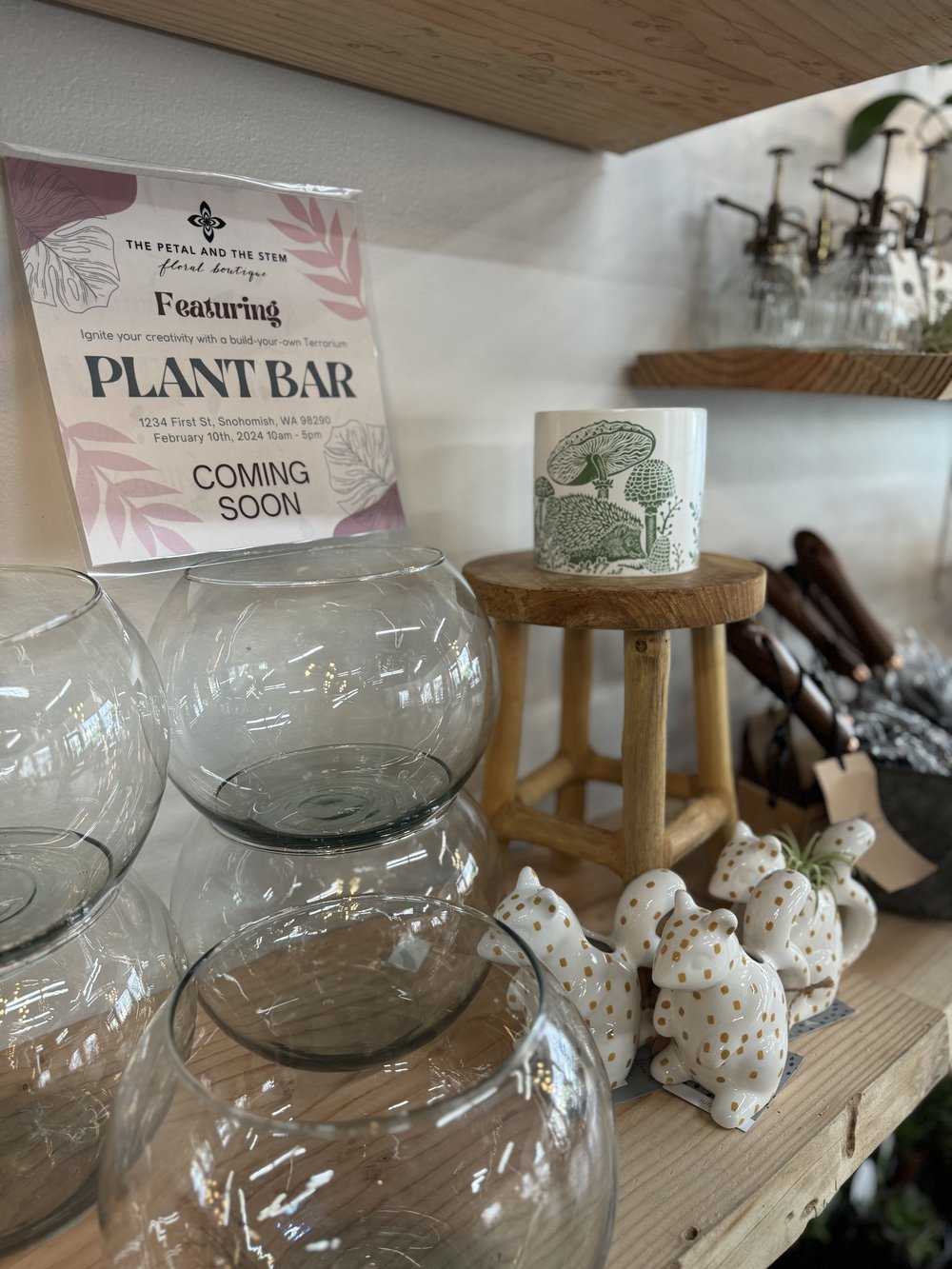 Plant Bar | Create Your Green Space Today — The Petal and The Stem