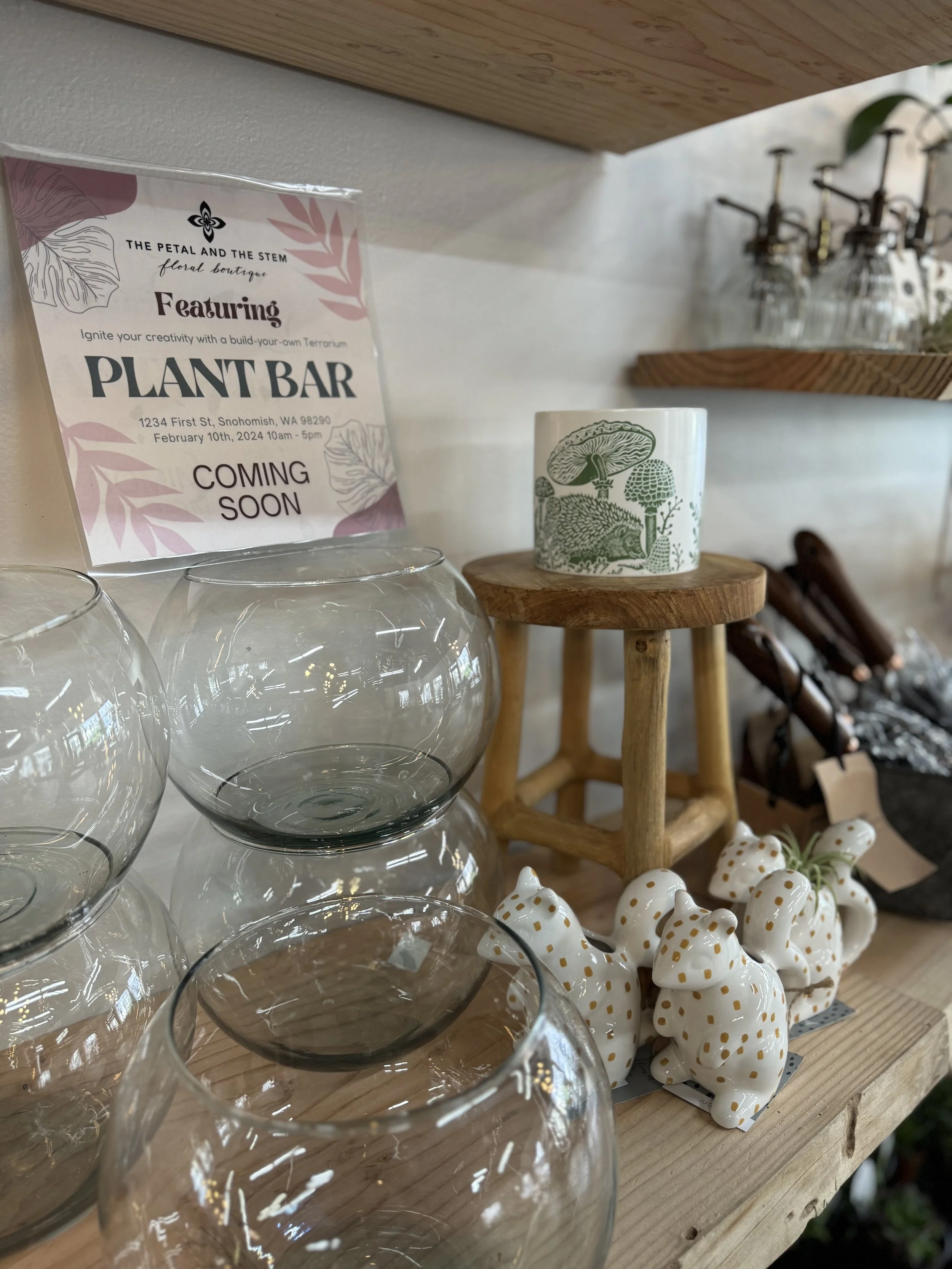 Plant Bar | Create Your Green Space Today — The Petal and The Stem