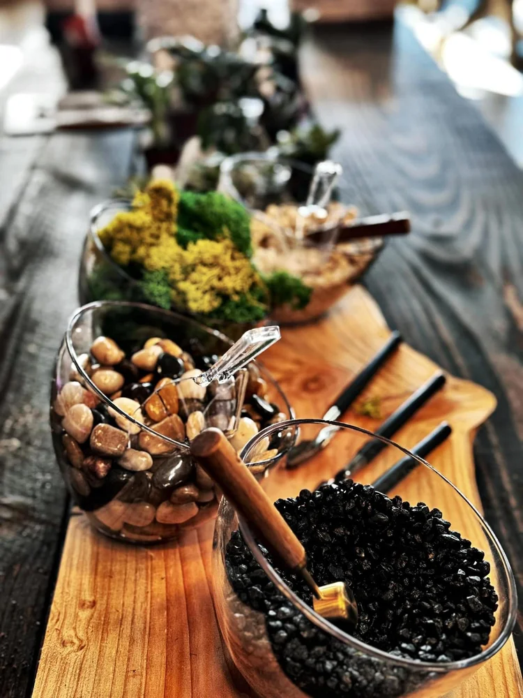 Plant Bar | Create Your Green Space Today — The Petal and The Stem
