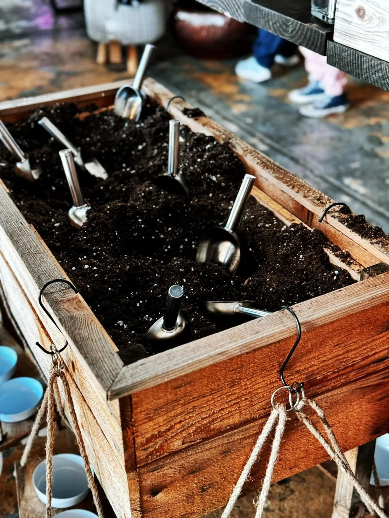 Plant Bar | Create Your Green Space Today — The Petal and The Stem