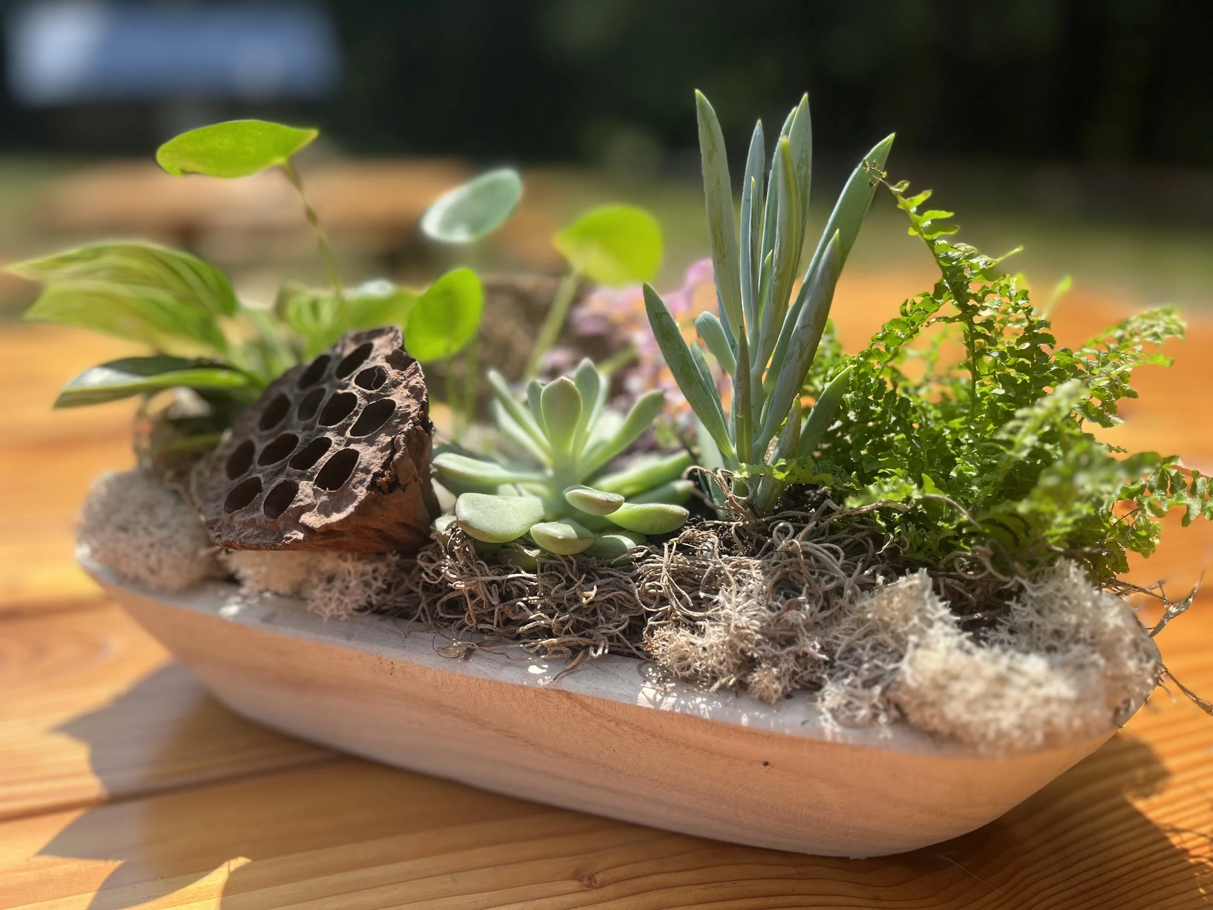 Plant Bar | Create Your Green Space Today — The Petal and The Stem