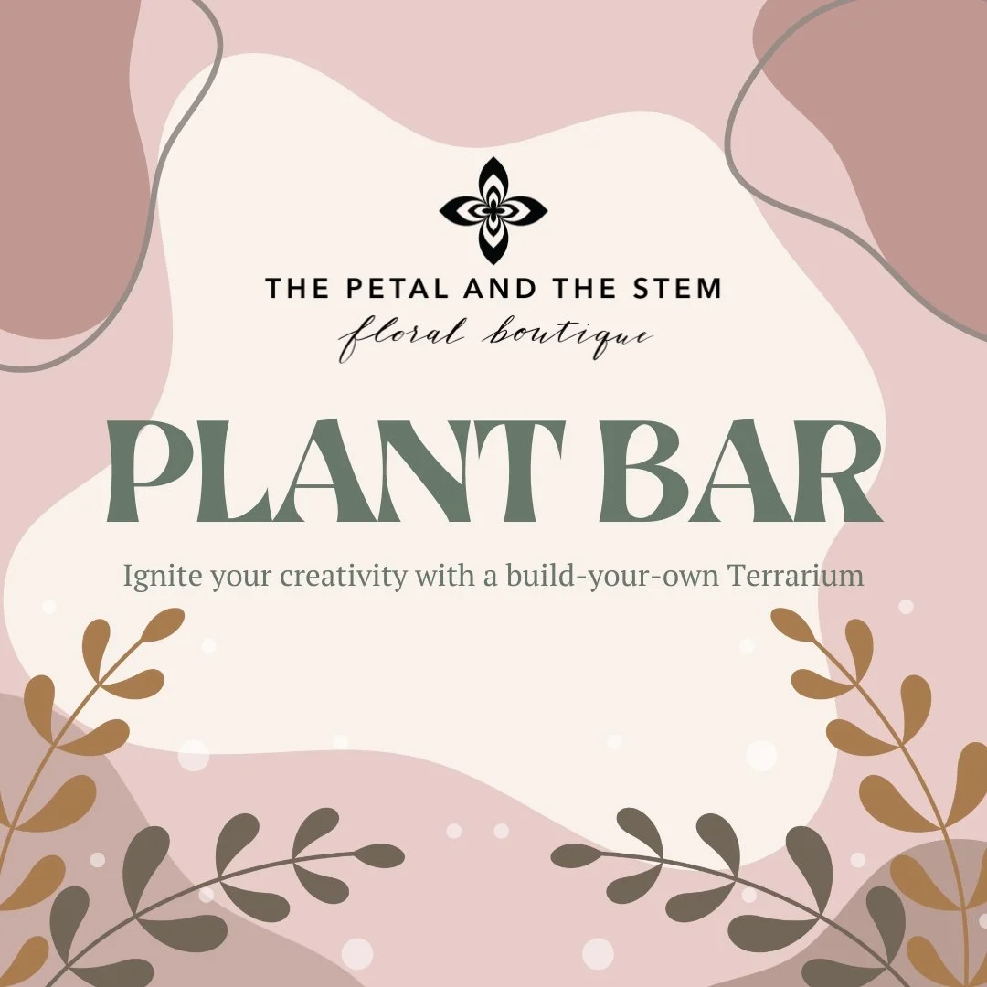 Plant Bar | Create Your Green Space Today — The Petal and The Stem