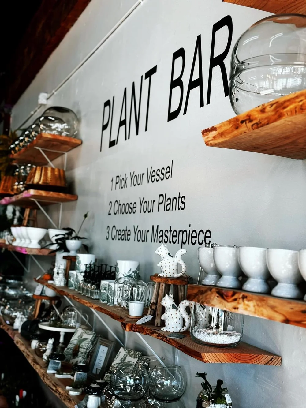 Plant Bar | Create Your Green Space Today — The Petal and The Stem