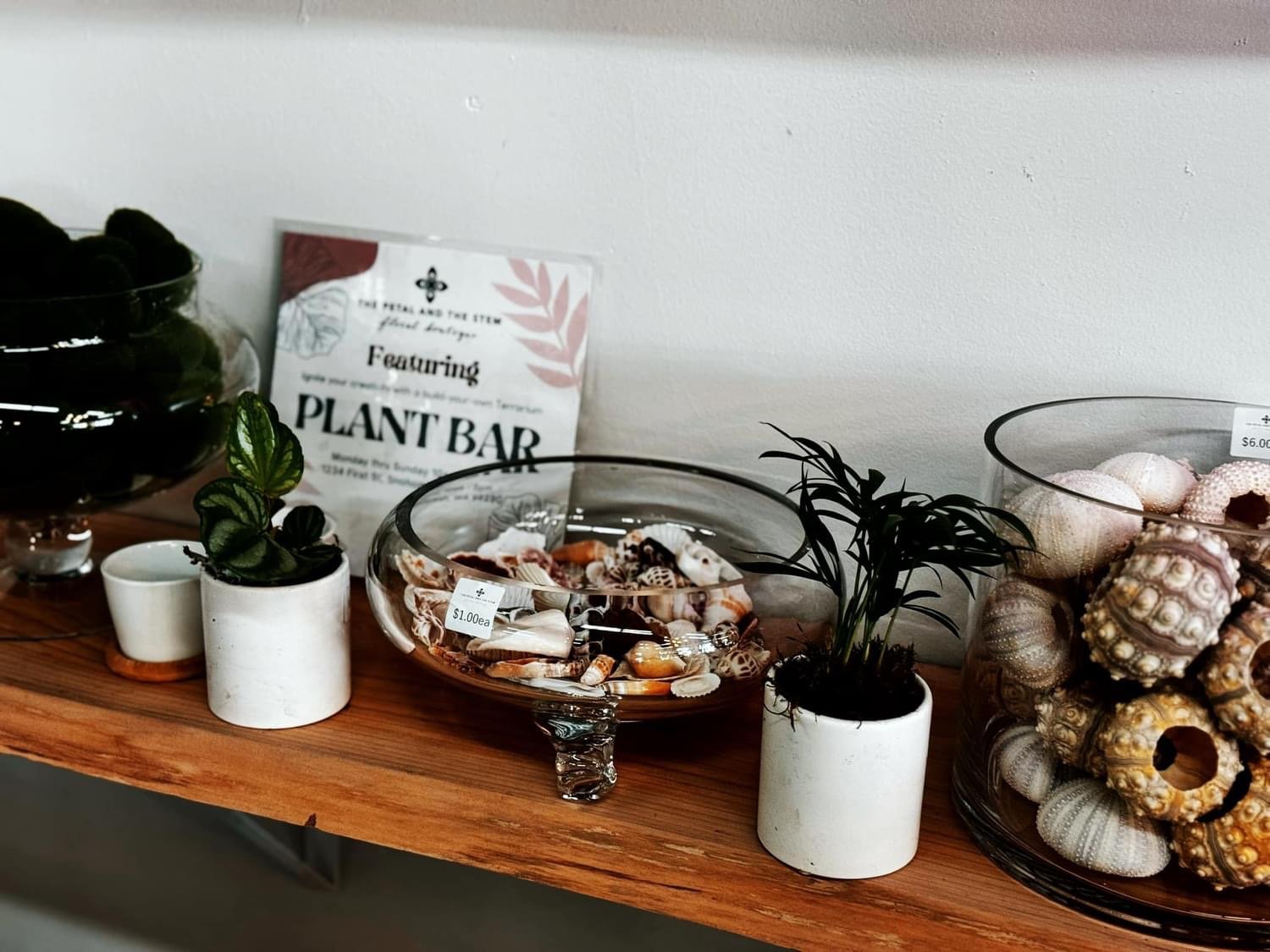 Plant Bar | Create Your Green Space Today — The Petal and The Stem