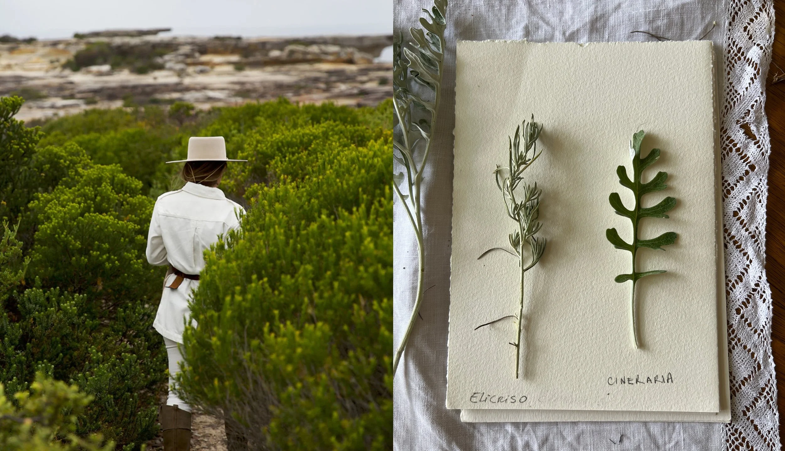 Sibella Court Australias top Interior Stylist & Product Designer