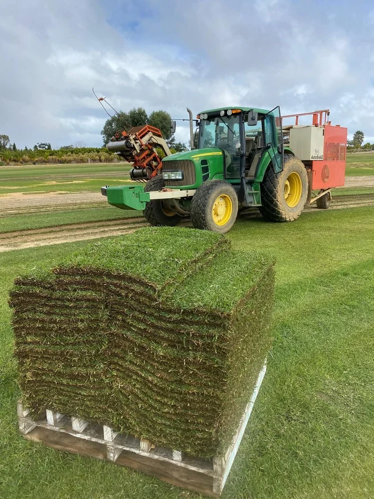 Lawn Doctor Perth | Lawn Care & Turf Experts