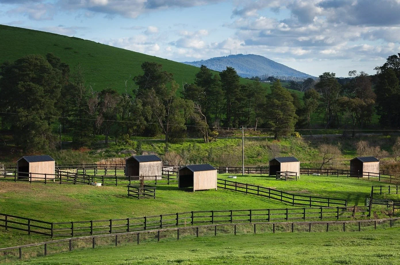 Spring Farm Dressage - Premium Agistment, Arena Hire and Clinics in ...