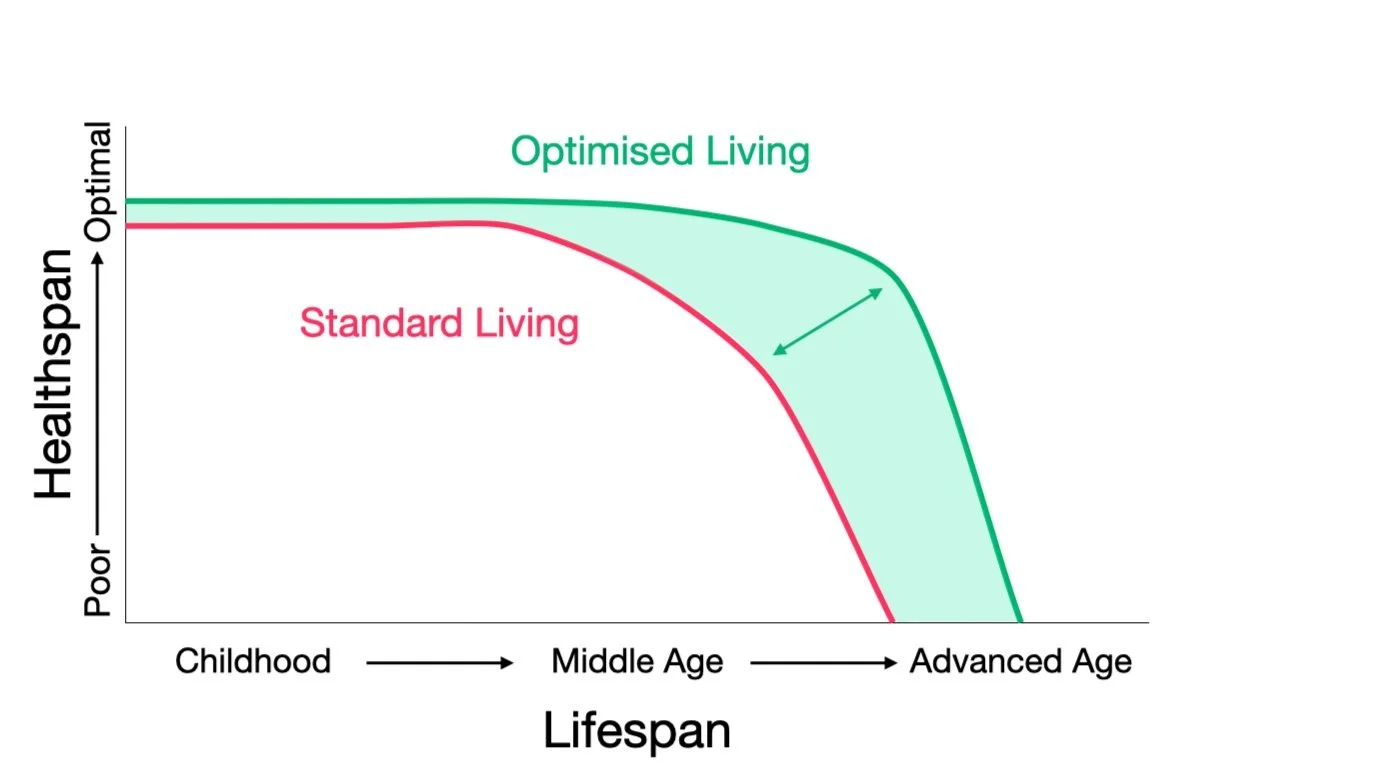 Our Philosophy | The Longevity Coach’s Approach to Health and Fitness ...