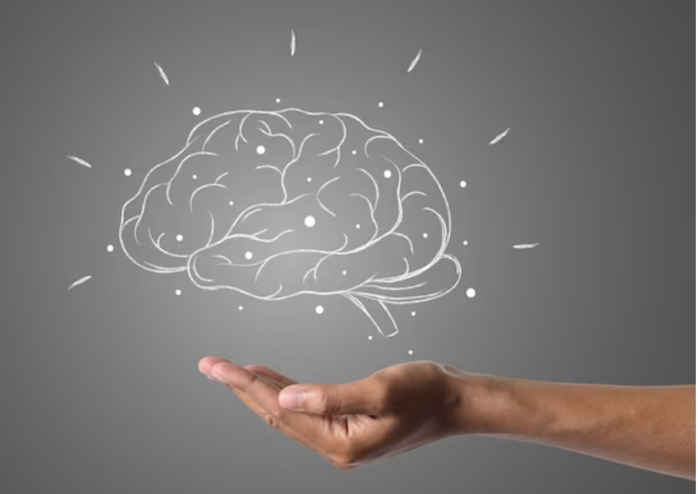 CogMed Working Memory Training — The Counselling Place