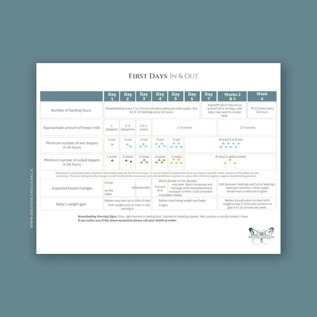 First Days A Visual Guide — Birthing Freedom | Childbirth Course