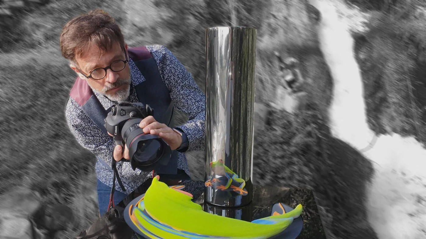 Red Eyed Tree Frog — Art of Jonty Hurwitz & Yifat Davidoff