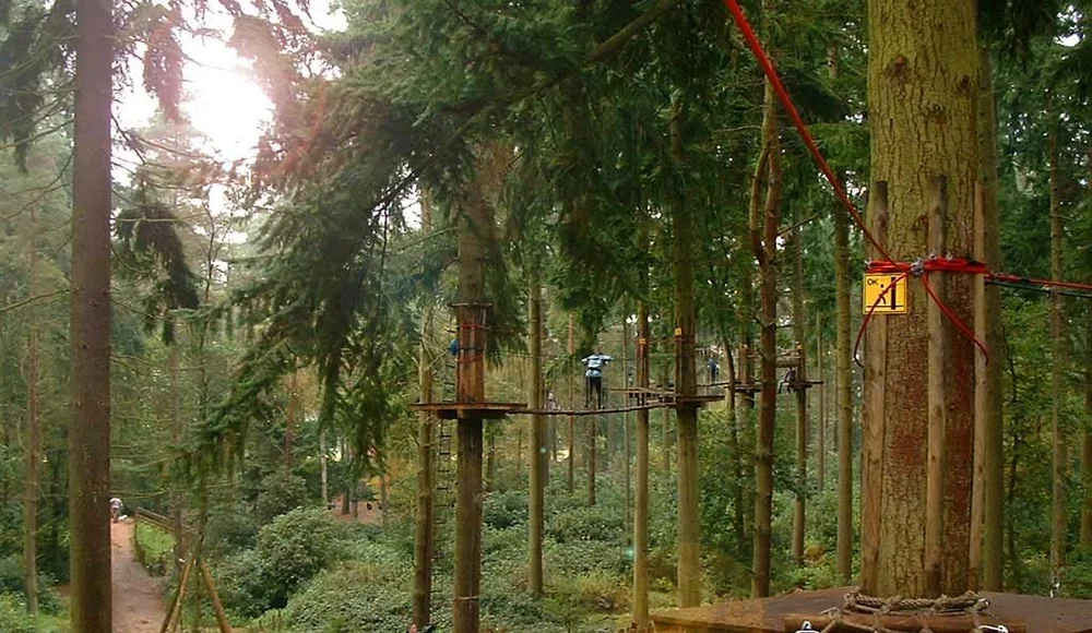Thetford Forest | Thetford Team Building — BlueSky Experiences