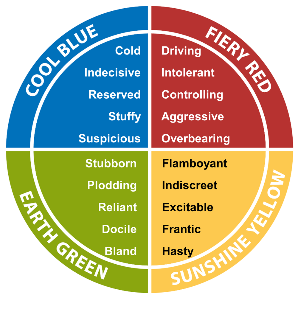Insights Discovery — BlueSky Experiences