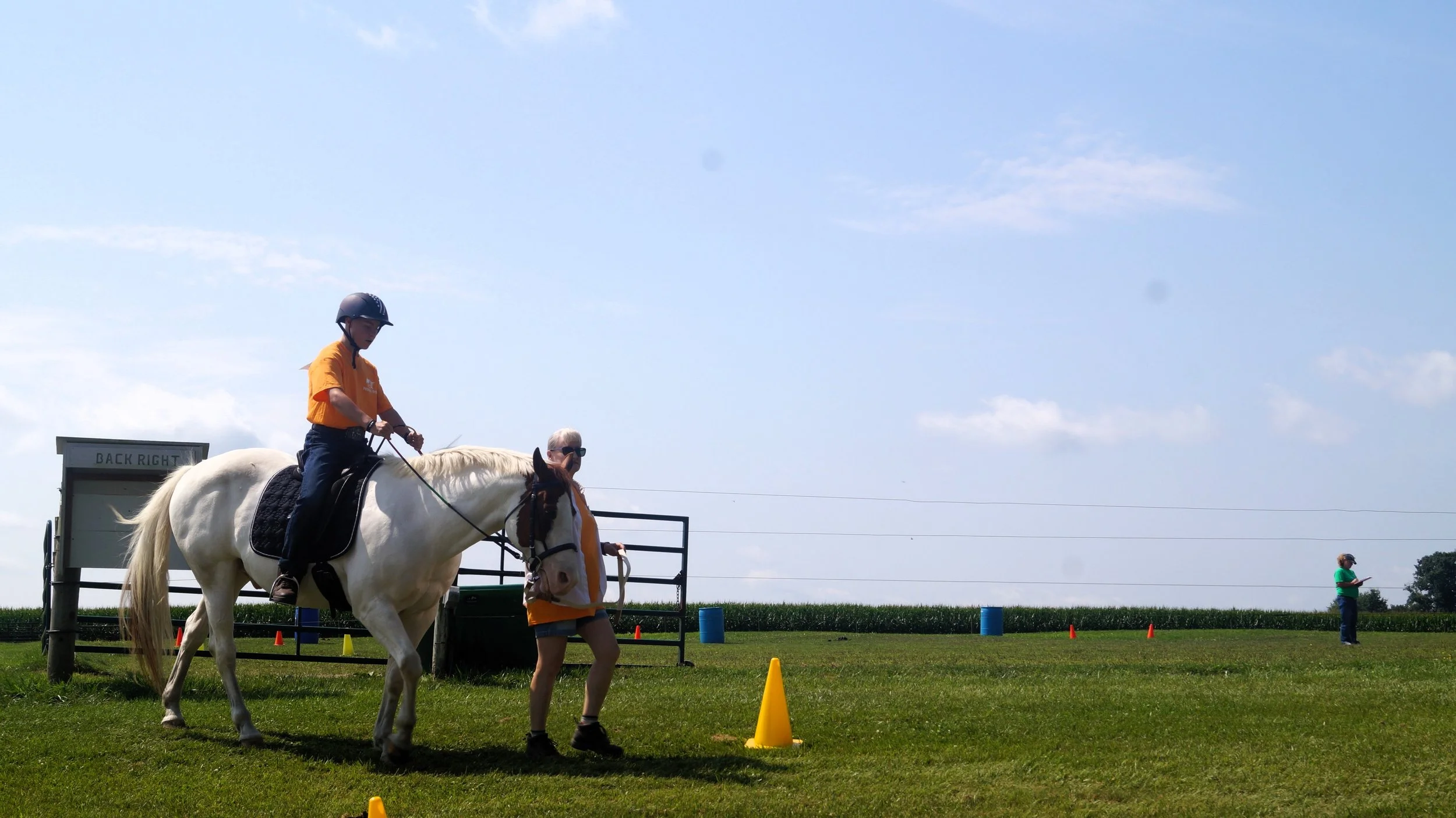 About 1 — Pegasus Farm