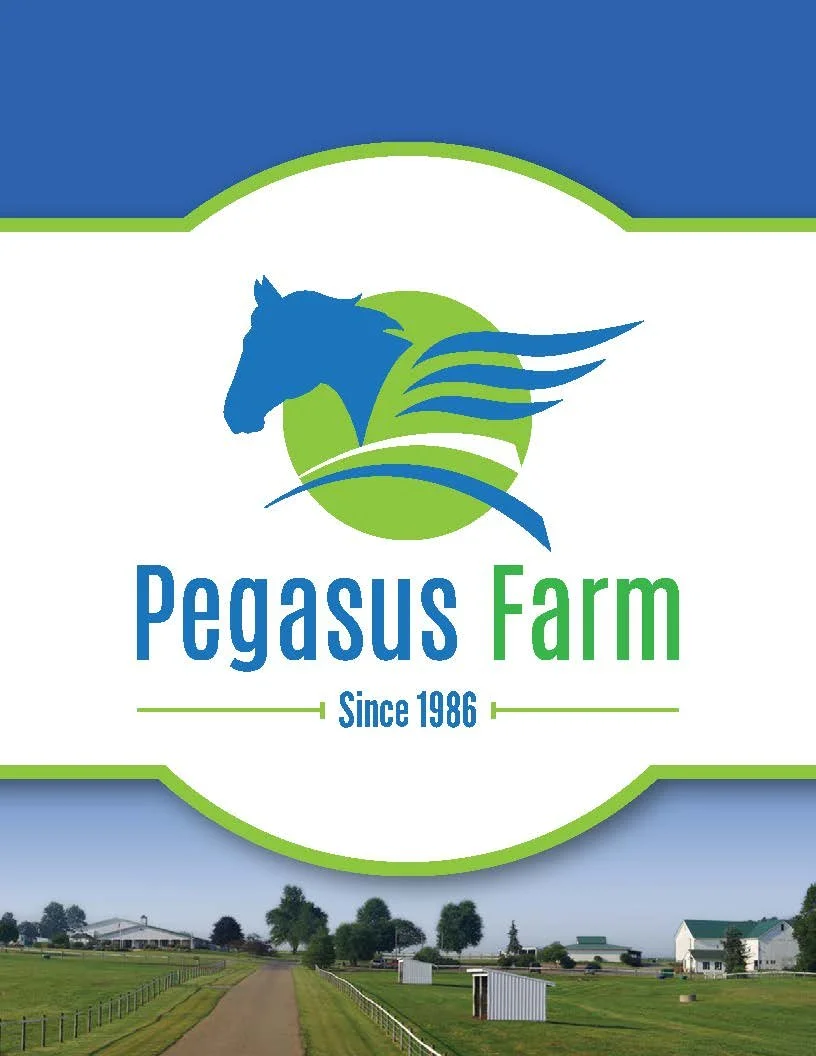 Community Report — Pegasus Farm