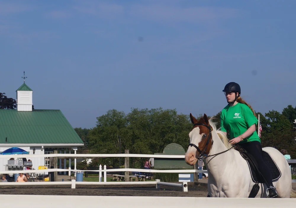 Equestrian Programs — Pegasus Farm