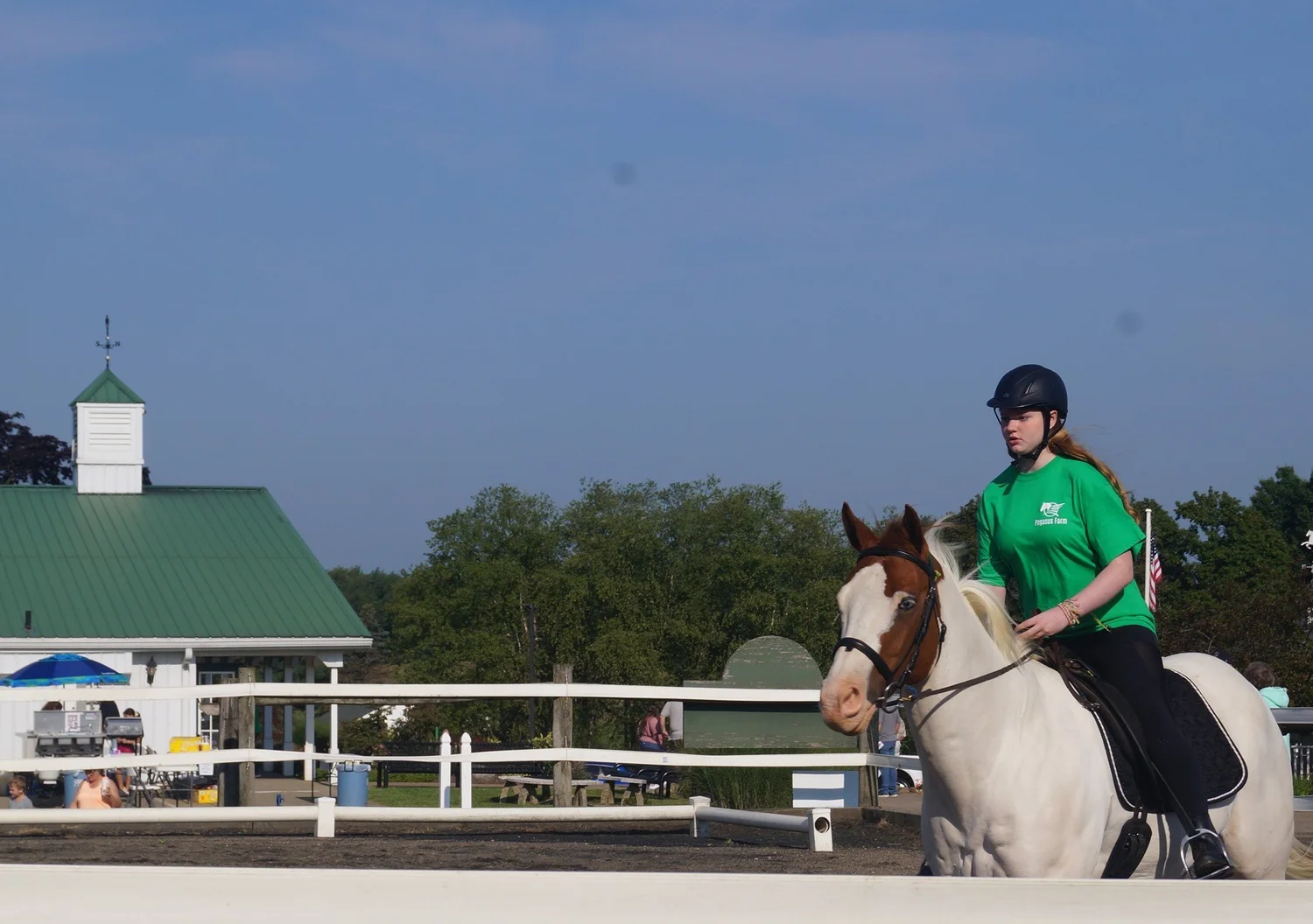 Equestrian Programs — Pegasus Farm