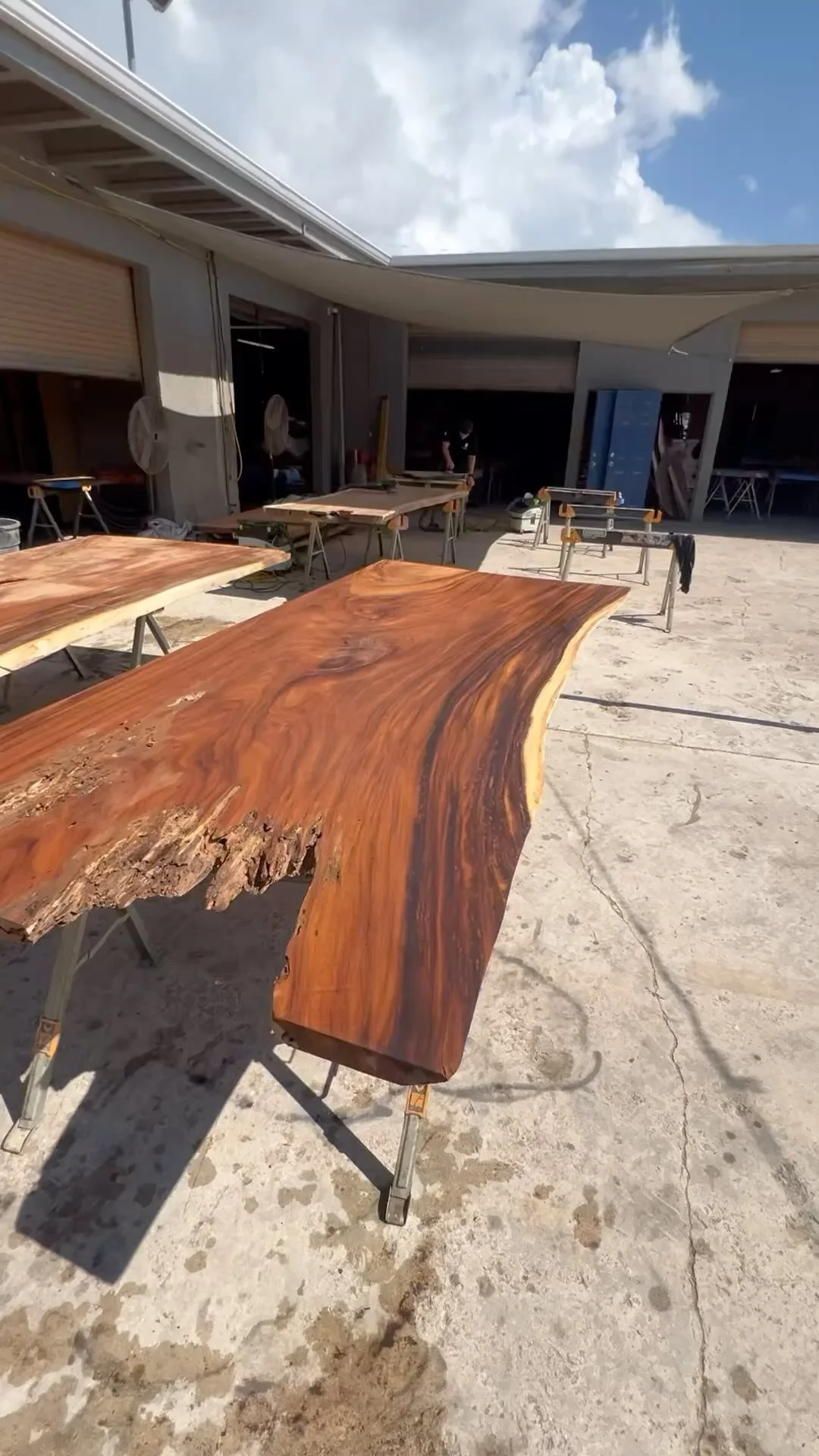 Exotic Live Edge Slabs