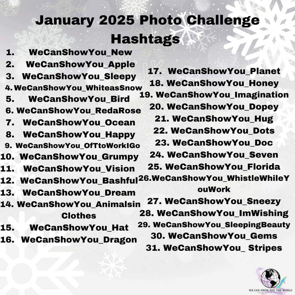 January 2025 Photo Challenge — We Can Show You the World
