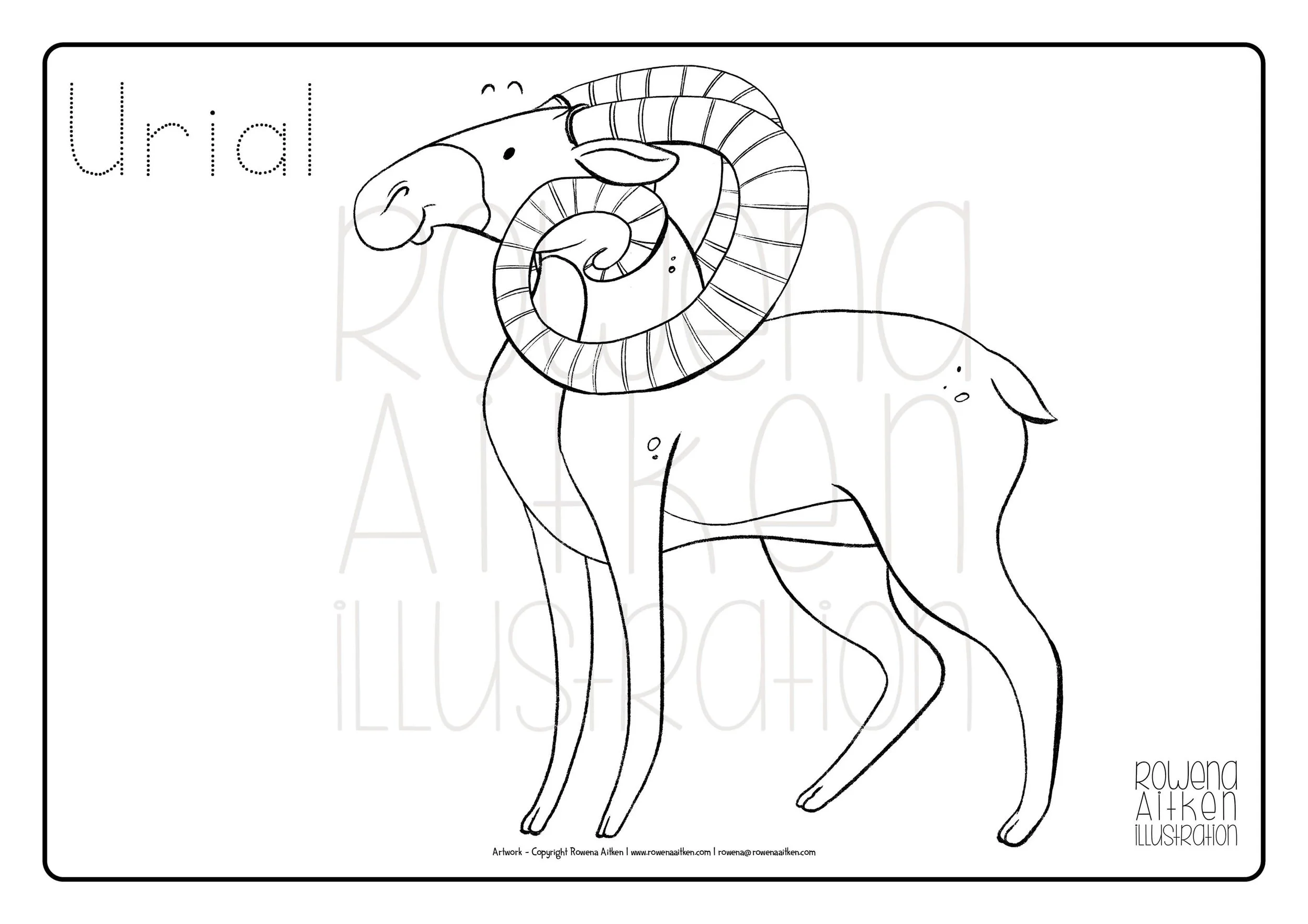 Urial — Rowena Aitken Illustration