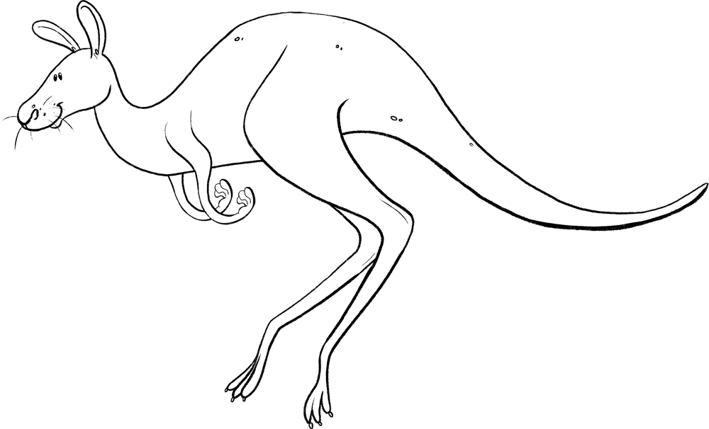 Kangaroo — Rowena Aitken Illustration