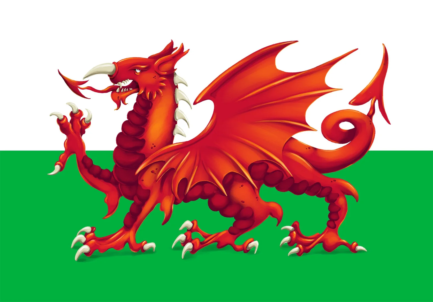 Rowena Aitken Illustration