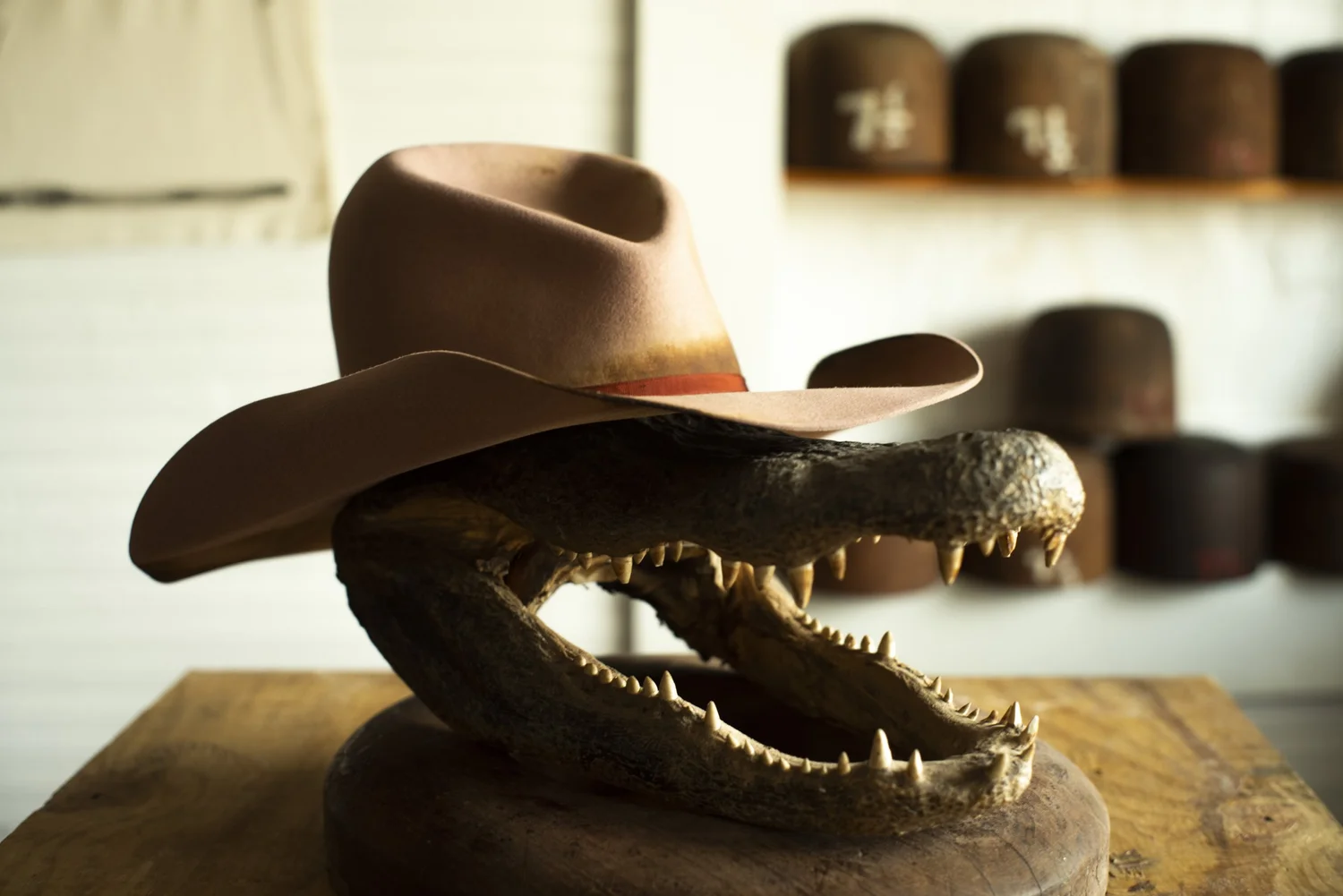Our Portfolio From The Custom Shop — 'Til Death Hat Co.
