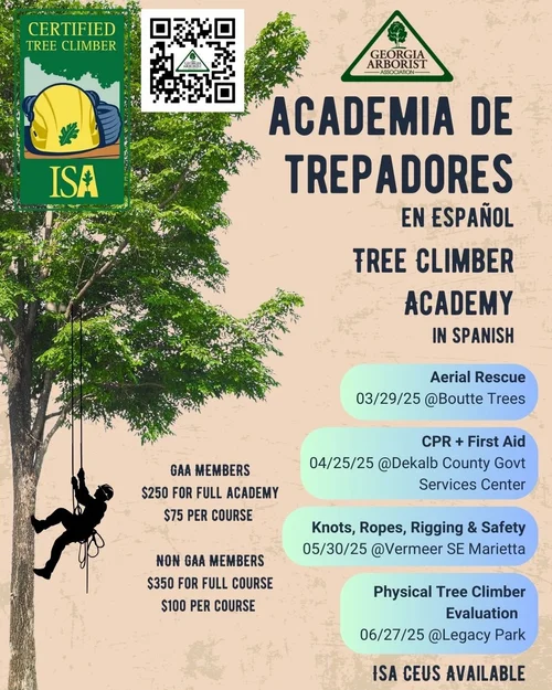 Tree Climber Academy; Academia de trepadores de árboles — Georgia ...