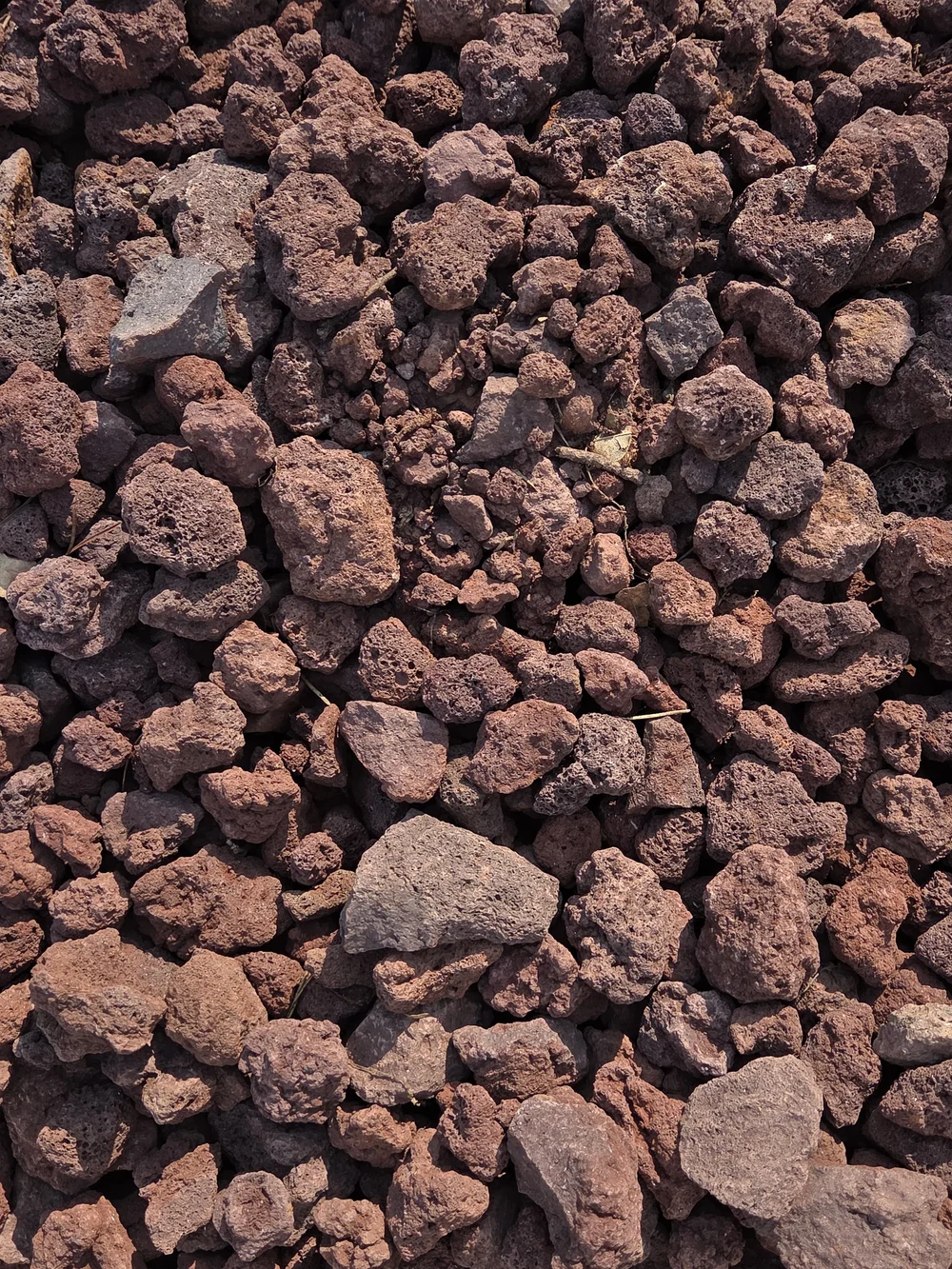 Decorative Aggregates — Lorenzo's Rock Yard