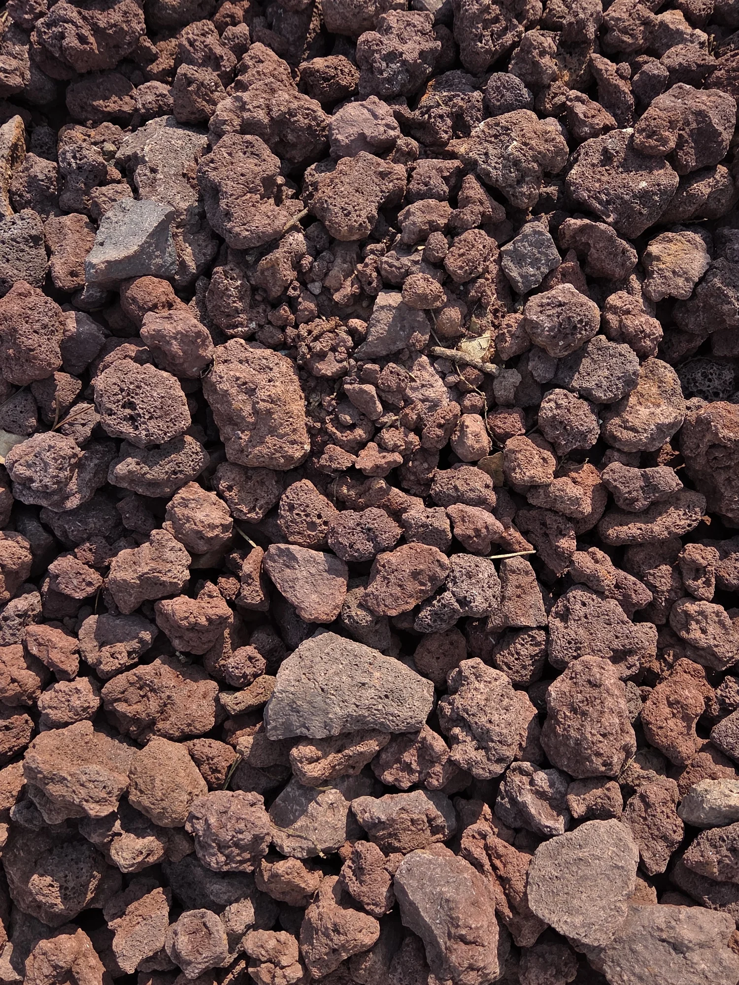 Decorative Aggregates — Lorenzo's Rock Yard