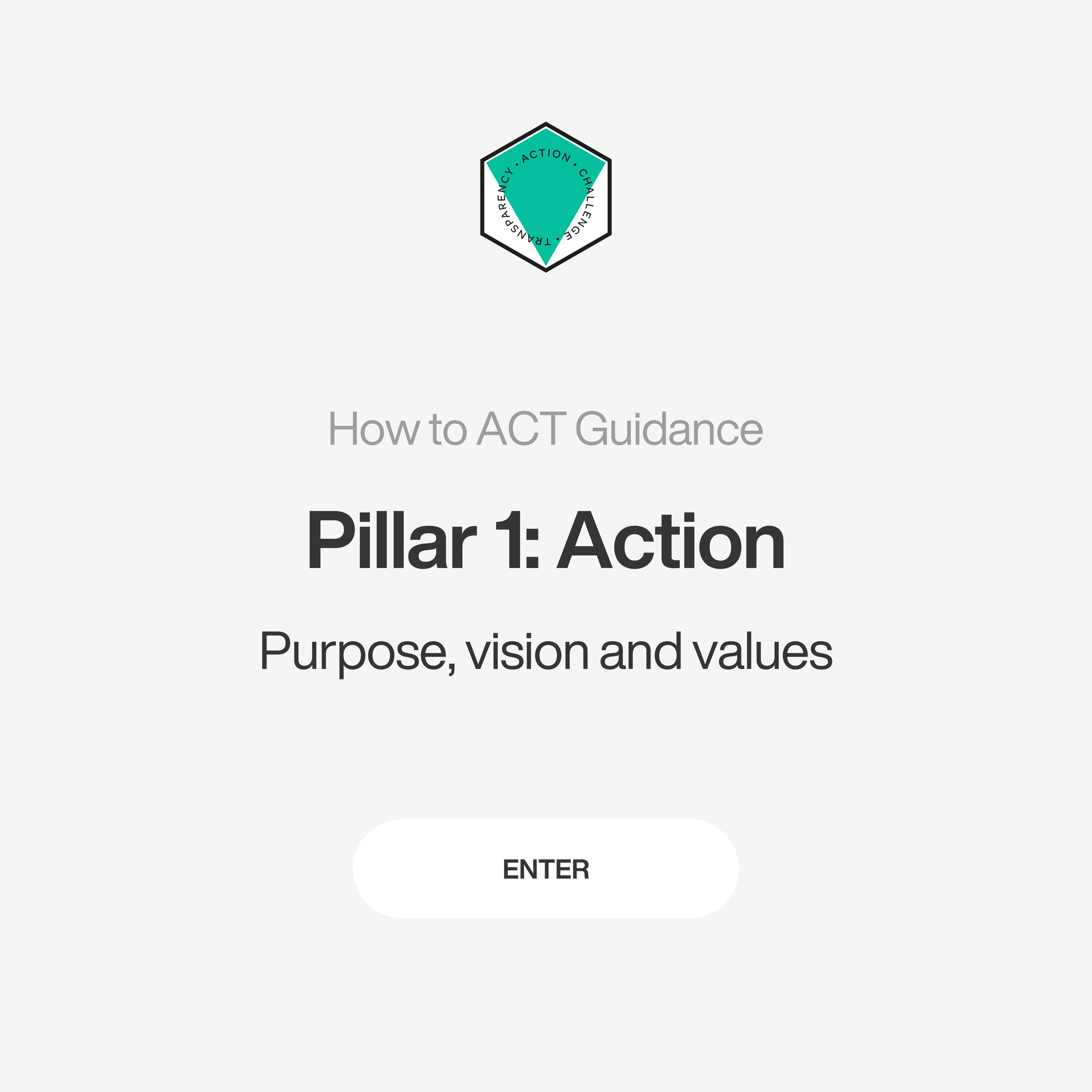 How to ACT Guidance — City Hive