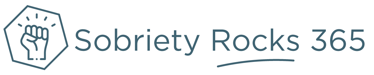 Power In The Pause Book — Sobriety Rocks 365